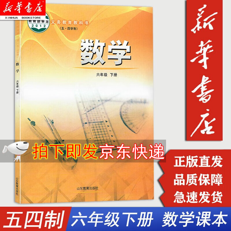 五四学制6六年级数学课本下册下学期 鲁教版5.4五四制 数学书课本教科书6年级六年级下册山东教育出版社 初中
