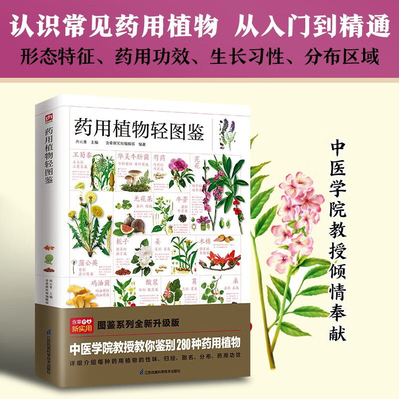 药用植物轻图鉴---轻图鉴系列29787571334871