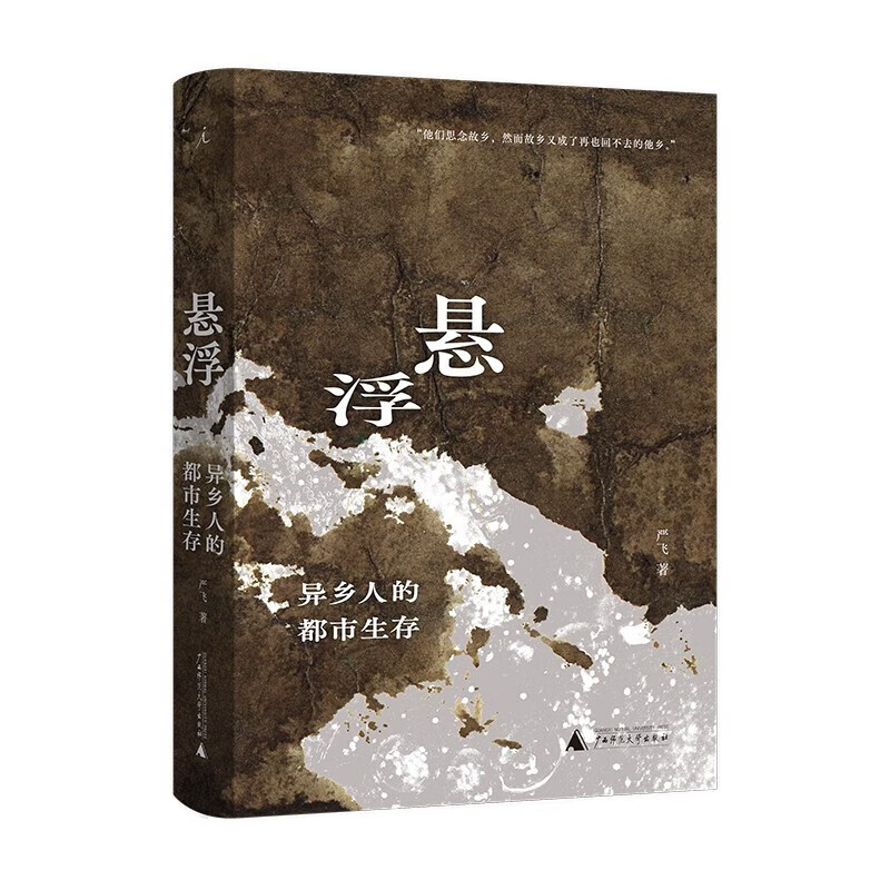 悬浮：异乡人的都市生存 严飞 广西师范大学出版社