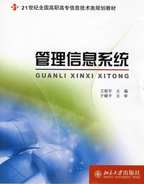 管理信息系统 王彤宇 主编