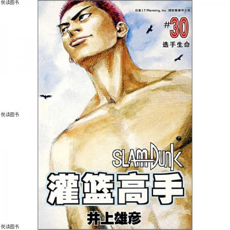 灌篮高手30