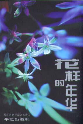 花样的年华【特惠】