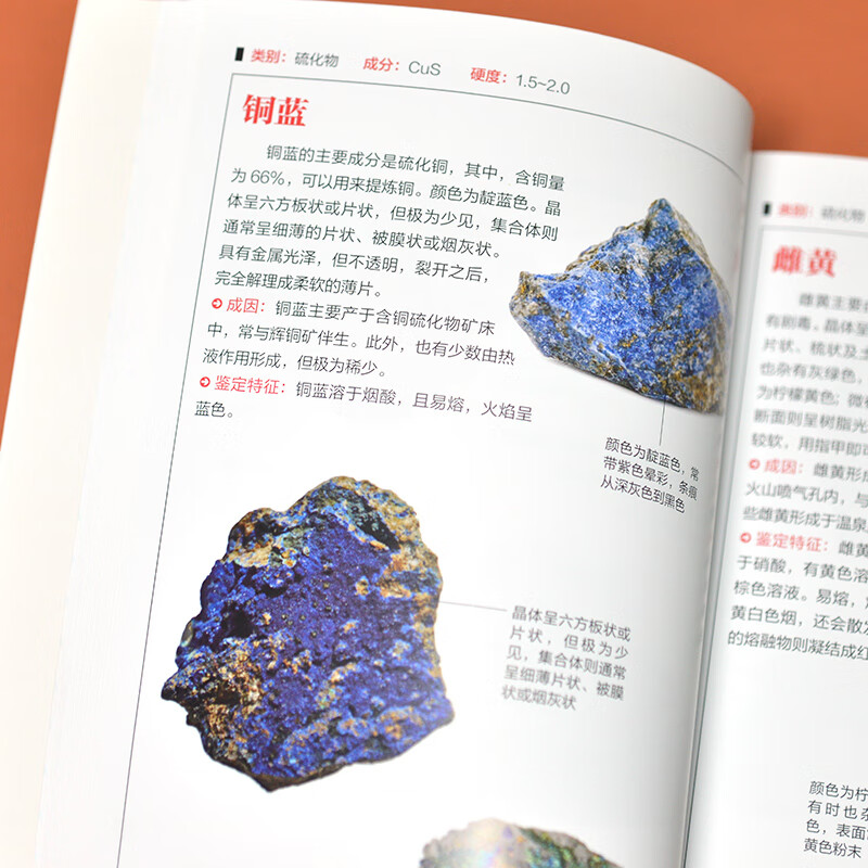 矿物与岩石图鉴 231种矿物与65种岩石完全鉴别指南岩浆岩变质岩等挑选详细讲解学会辨认各种矿物与岩石自然科