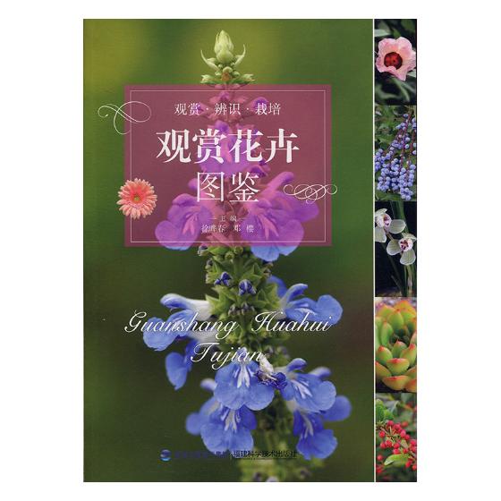 观赏花卉图鉴/家居/书籍