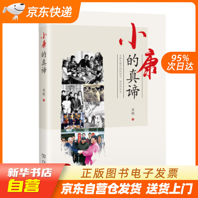 小康的真谛 周锟 著 商务印书馆 9787100190459 籍