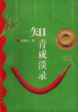 知青咸淡录【现货】