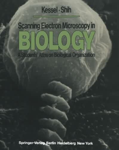 Scanning Electron Microscopy in BIOLOGY