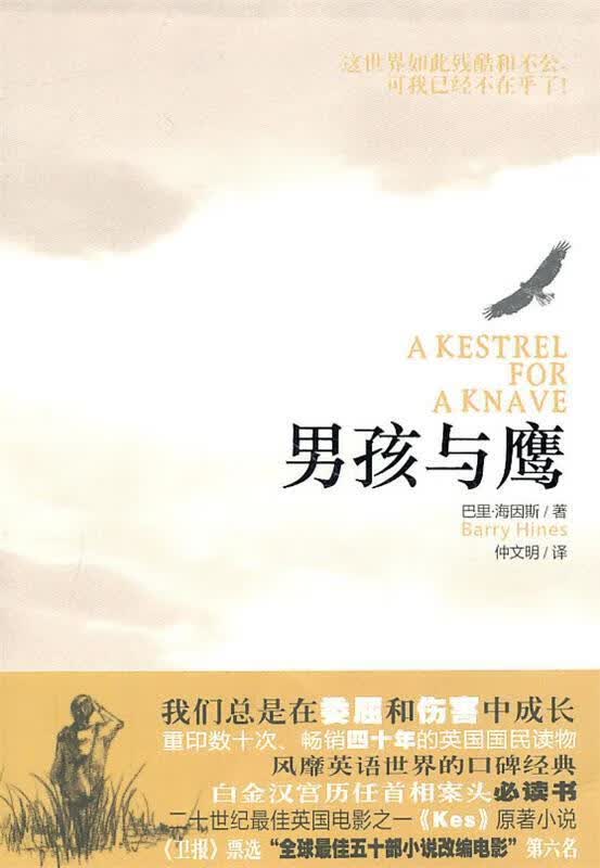 男孩与鹰 (英)海因斯著,仲文明译 湖南文艺出版社