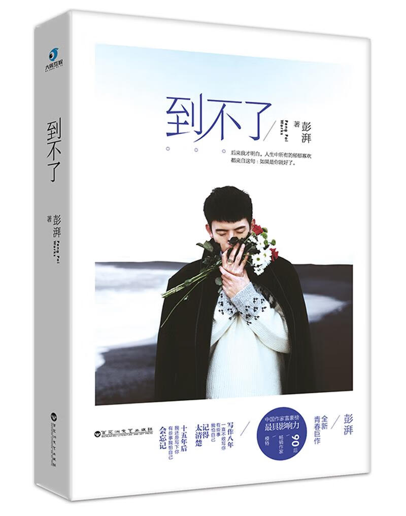 到不了 彭湃 百花洲文艺出版社 9787550022614