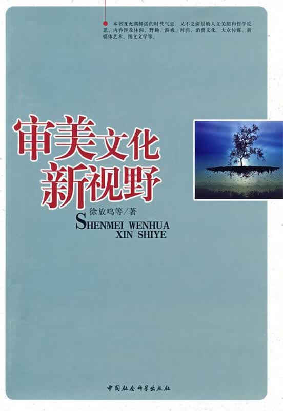 审美文化新视野