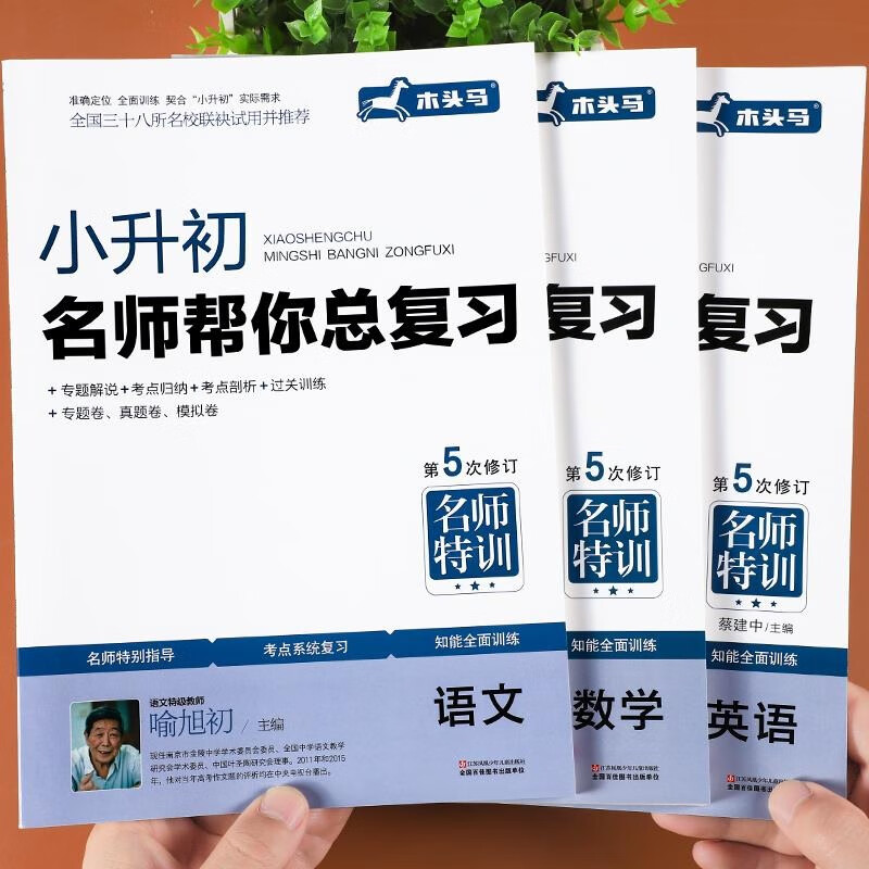 木头马小升初名师帮你总复习语文数学英语小升初模拟试卷2023名师特训六年级下册小升初总复习小升初知识大集结小升初真题卷必刷题\x0a复习卷子练习册题 名师帮你总复习 【语文+数学+英语】