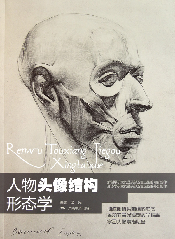 人物头像结构形态学【特惠】