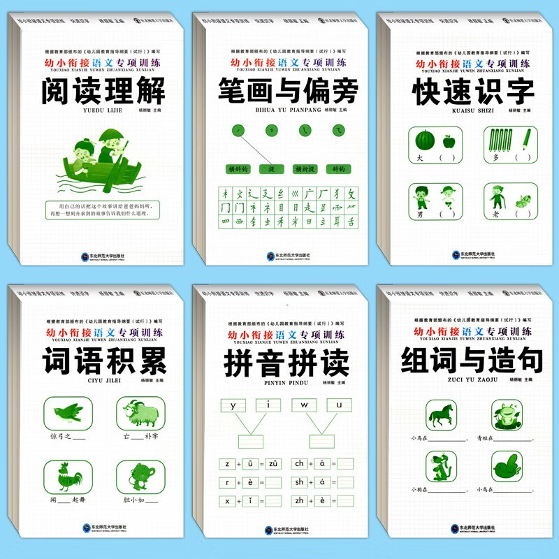 全套6册 拼音拼读笔画偏旁幼小衔接教材全套幼儿园整合教材大中学前班一年级语文专项训练练习册学前教育语文专项训练一日一练 幼小衔接语文专项训练(全6册)