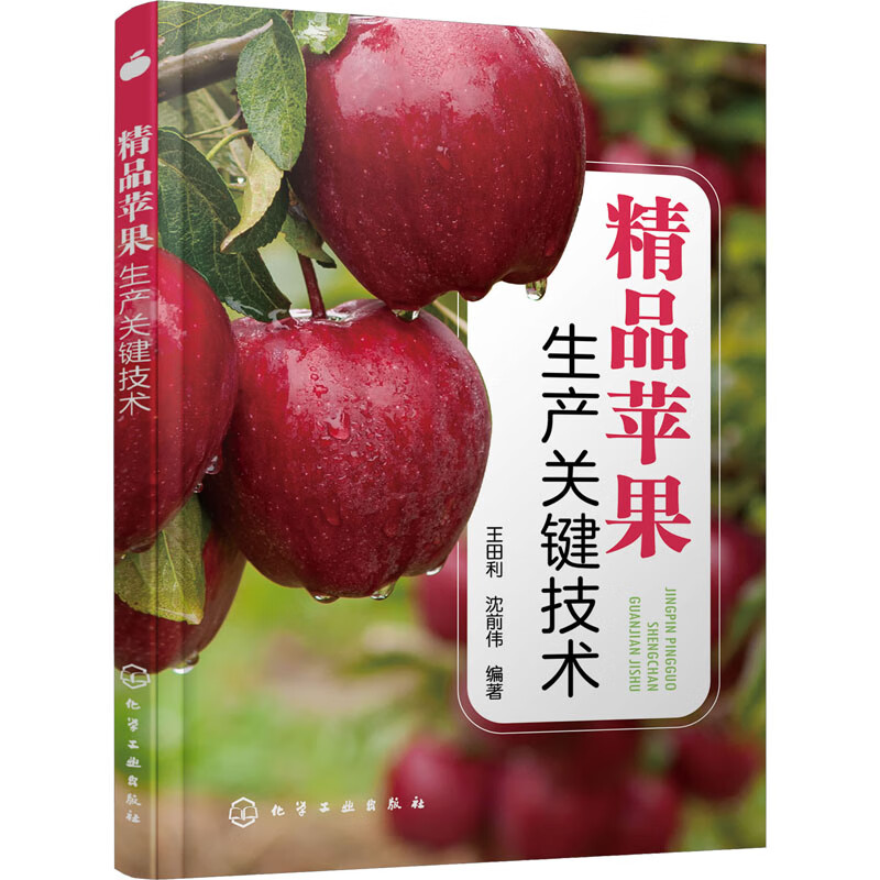 精品苹果生产关键技术 图书