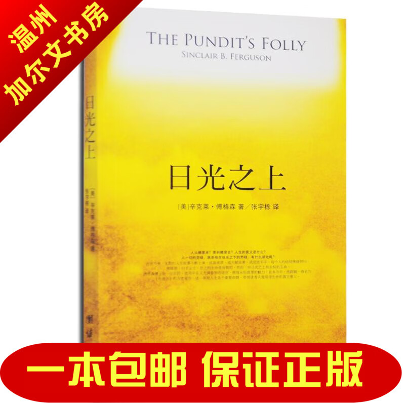 日光之上--传道书解读 傅格森，改革宗之著 成功励志 哲学书籍