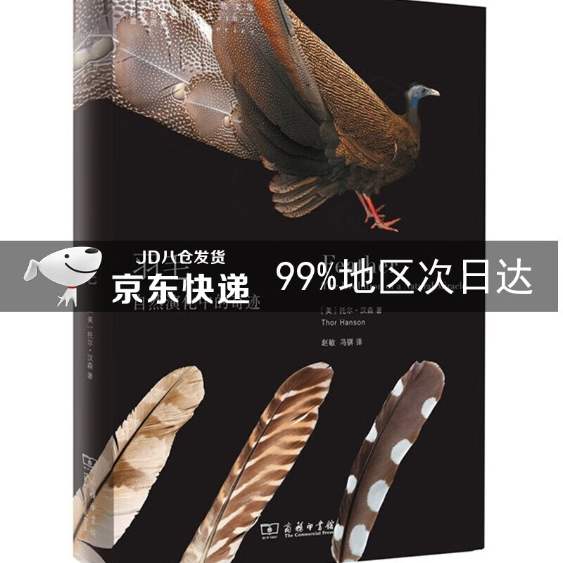羽毛：自然演化中的奇迹
