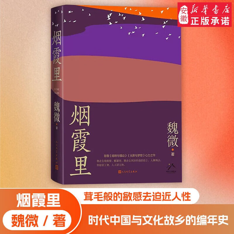 烟霞里 鲁迅文学奖得主魏微积蕴 三年长篇小说新作 致敬喧哗与骚动 光荣与梦想  文学出版社 魏微著书排行榜