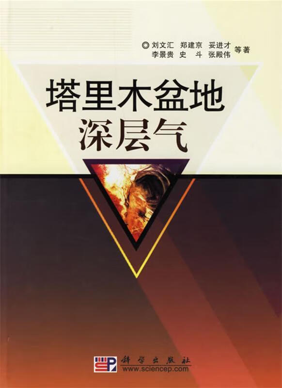 塔里木盆地深层气【好书，下单速发】