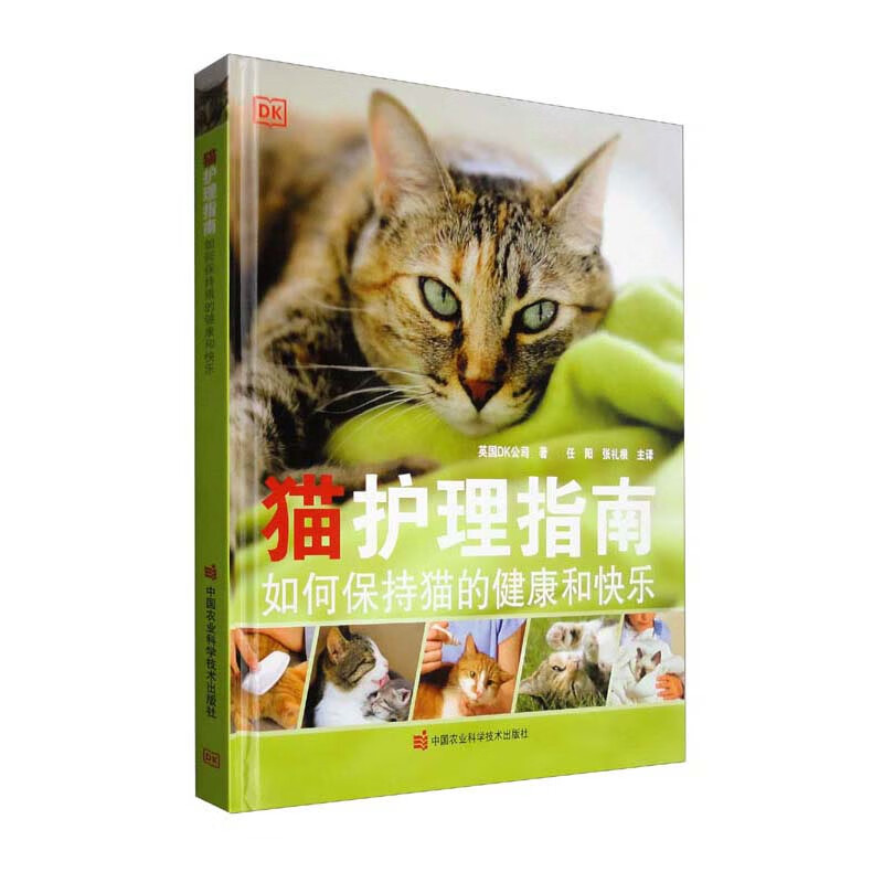 猫护理指南如何保持猫的健康和快乐