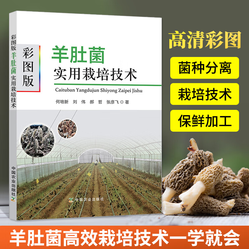 彩图版羊肚菌实用栽培技术 羊肚菌栽培种植新技术书大棚高效食用菌磨姑菌种农业种植实用书籍资料知识大全农作物高产病虫害防治