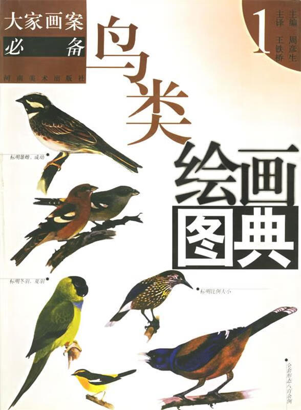 鸟类绘画图典1—大家画案必备