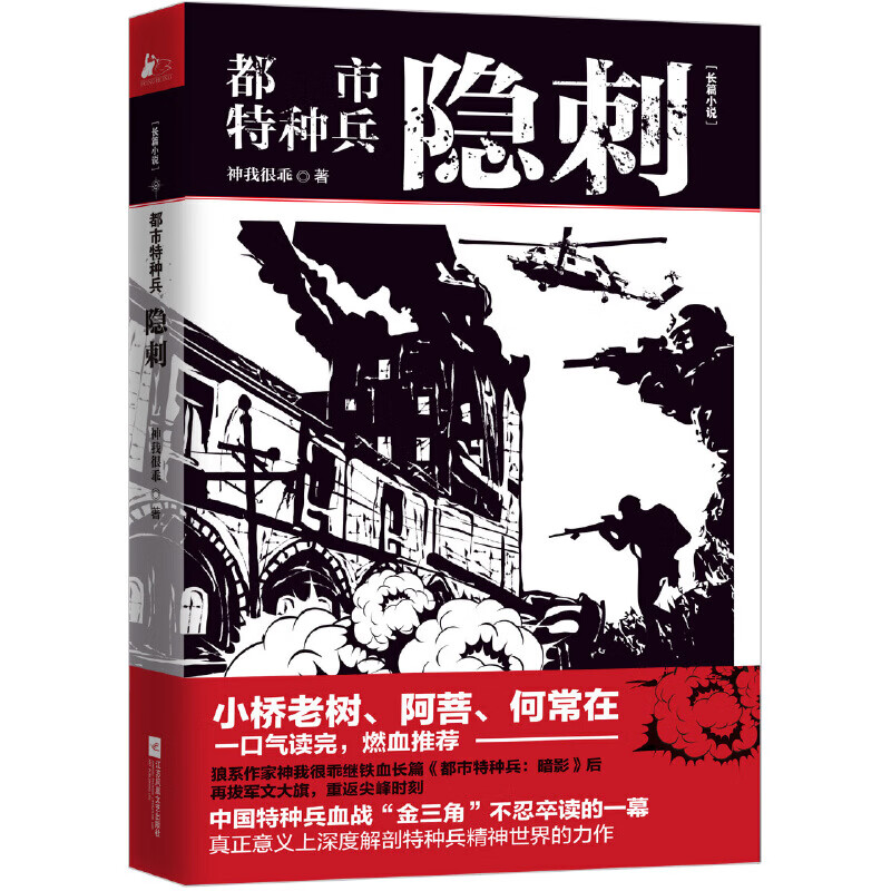都市种兵：隐刺