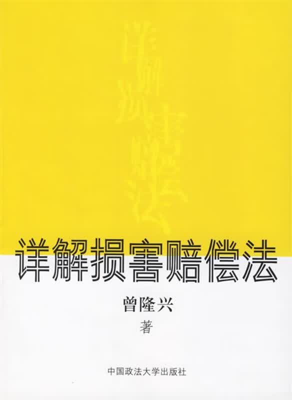 详解损害赔偿法【好书，下单速发】
