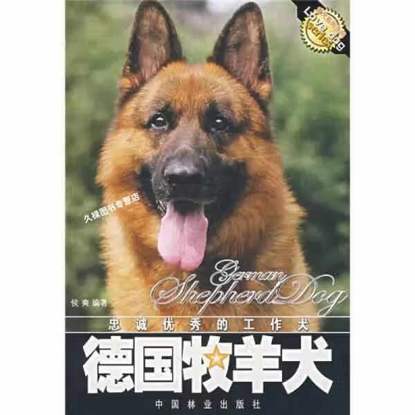 德国牧羊犬 侯爽 中国林业出版社 9787503846083