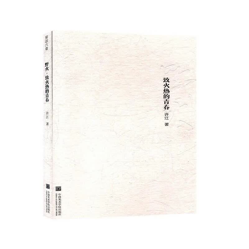野火·致火热的青春 许江 中国美术学院出版社 9787550321496