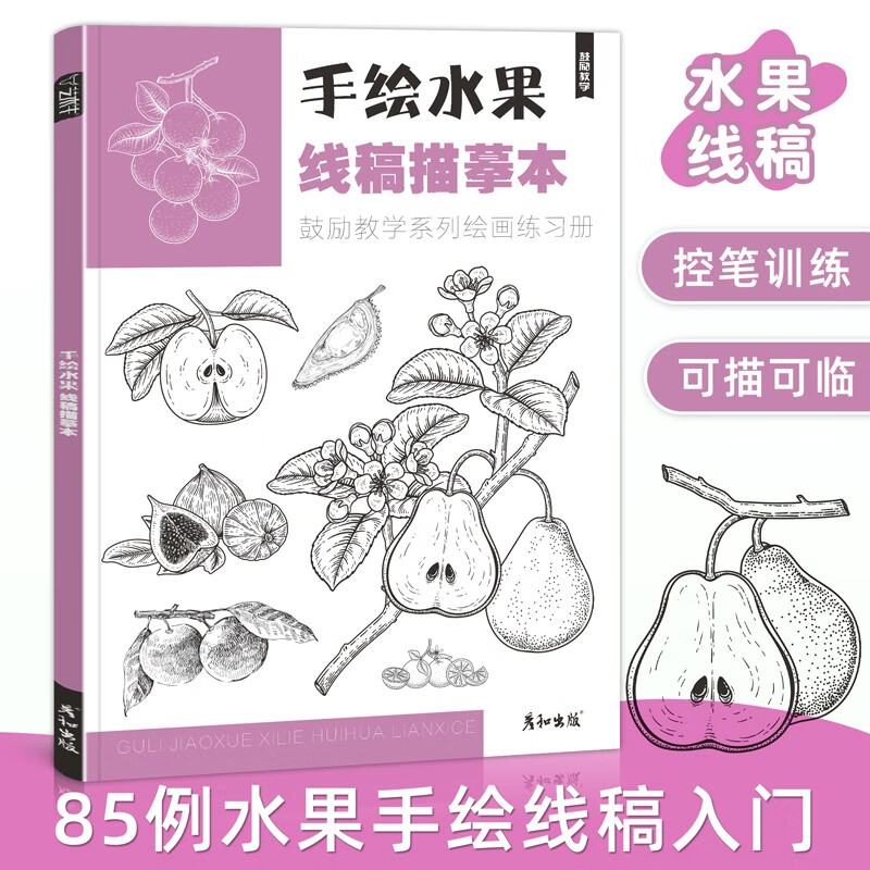 线稿描摹本写生线描控笔训练临摹画册素材图片治愈解压铅笔素描针管笔绘画启蒙书入门画画儿童创意美术画室培训兴趣班课件工具书 手绘水果 52页16开