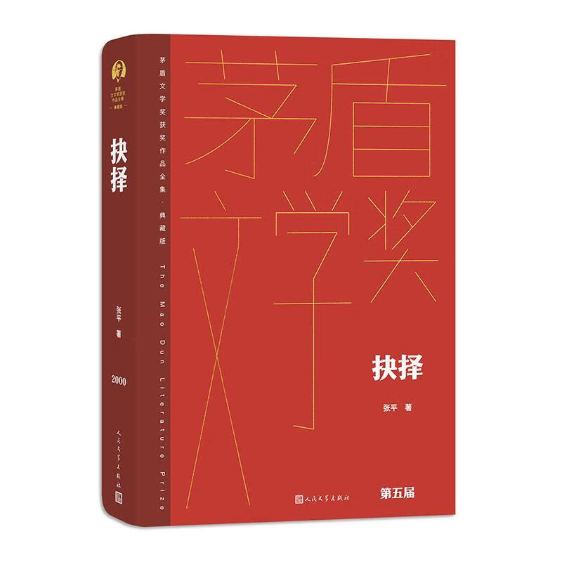 抉择小说  图书