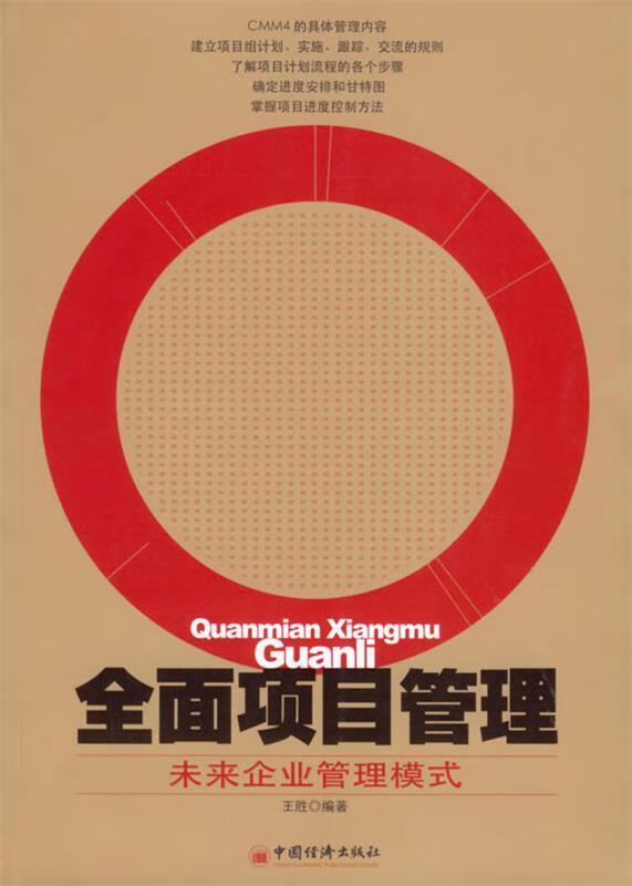 全面项目管理 王胜 编著