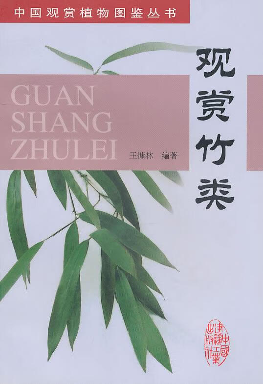 观赏竹类 王慷林