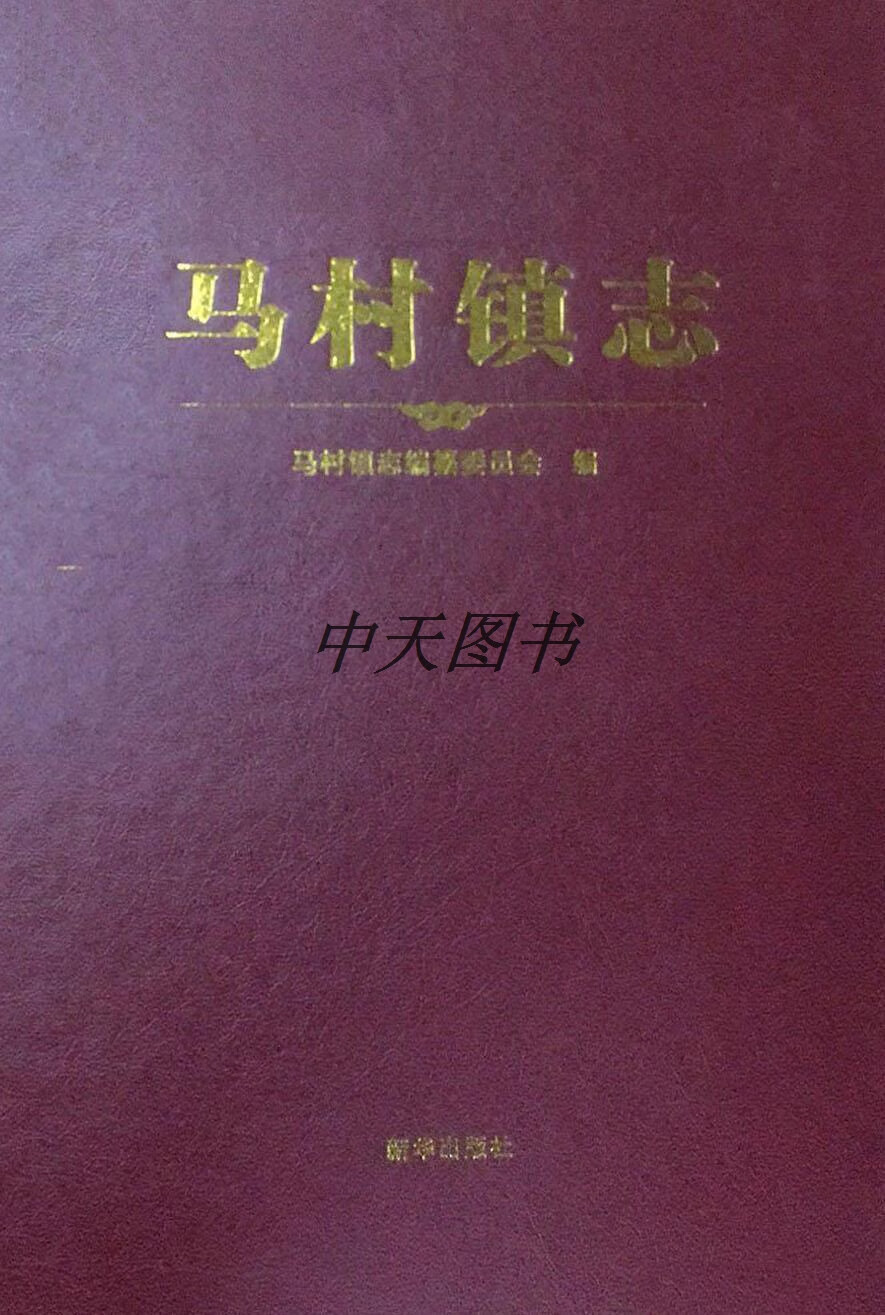马村镇志 文战胜主编 新华出版社