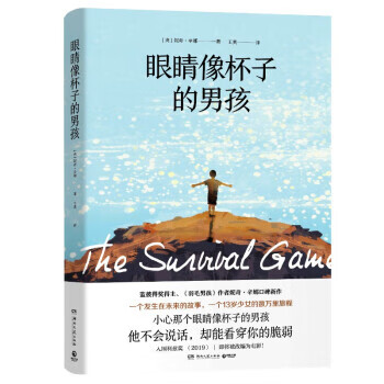 眼睛像杯子的男孩 [英]妮奇·辛娜,王爽 湖南文艺出版社