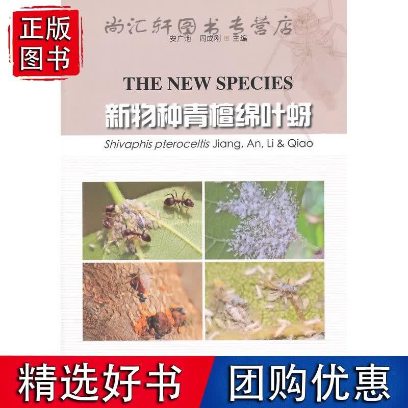 新物种青檀绵叶蚜