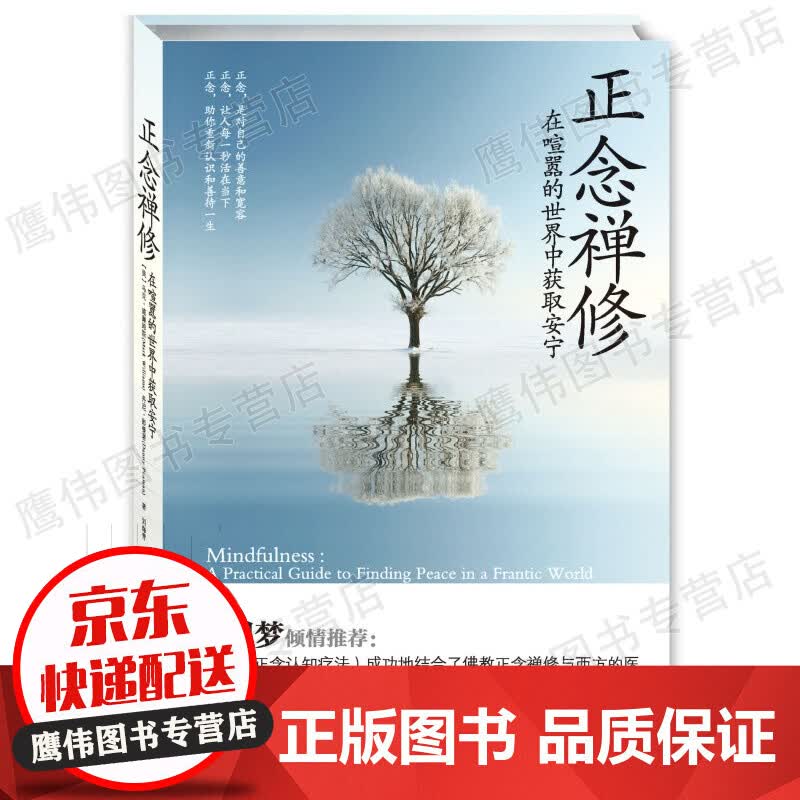 正念禅修