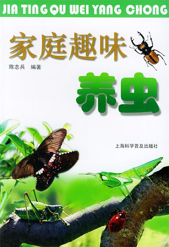 家庭趣味养虫 陈志兵 编著