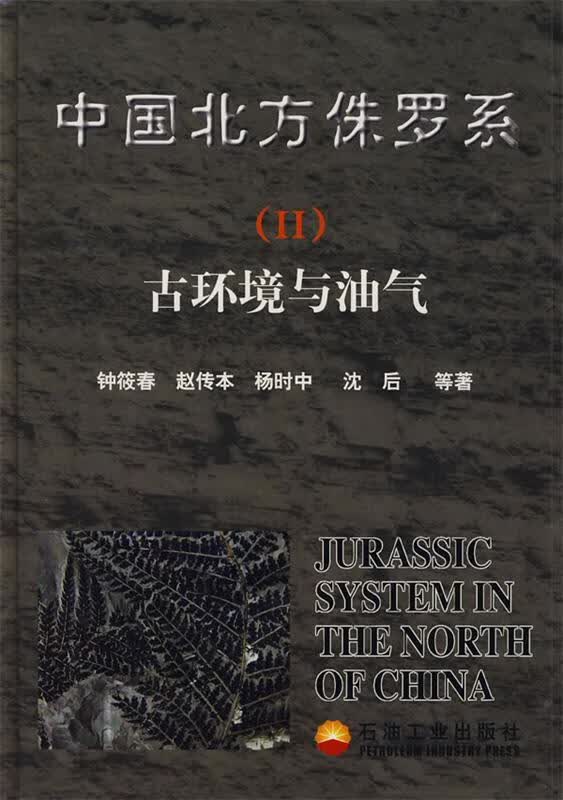 中国北方侏罗系古环境与油气