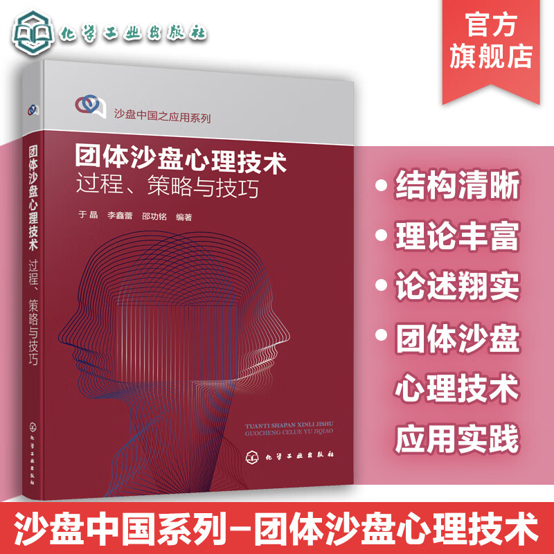 团体沙盘心理技术 过程策略与技巧 沙盘中国系列 一本书读懂团体沙盘心理技术 心理学入门书籍 团体心理学沙盘应用入门