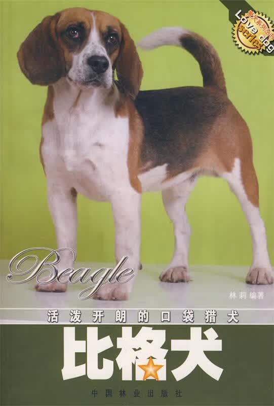 比格犬 林莉 编著 中国林业出版社 9787503841576