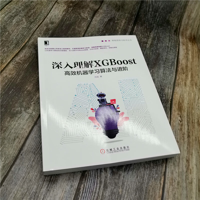 深入理解XGBoost 高效机器学习算法与进阶