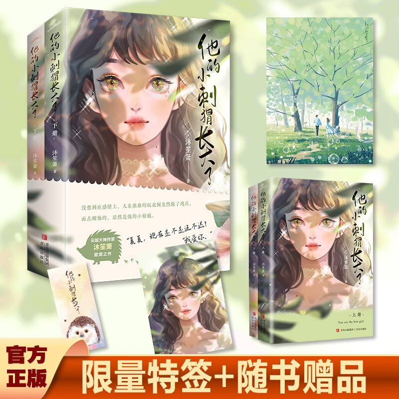 随机特签 他的小刺猬长大了（上下）云起大神作家沐笙箫甜宠新作，一个双向救赎、爱与治愈的故事