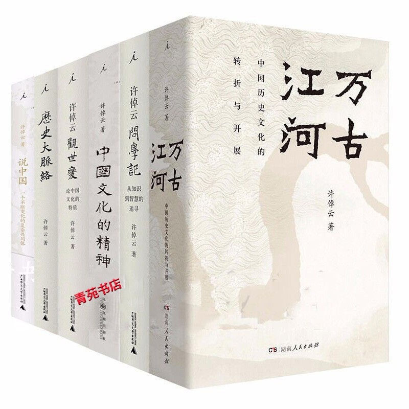 （自选系列）许倬云作品集：历史大脉络+万古江河+观世变+问学记+中国文化的精神+说中国 （许倬云 著 理想国） 许倬云作品（套装共6册）319