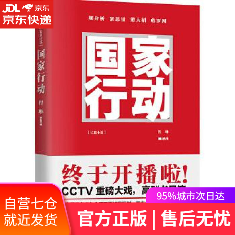 国家行动 程琳 江苏凤凰文艺出版社