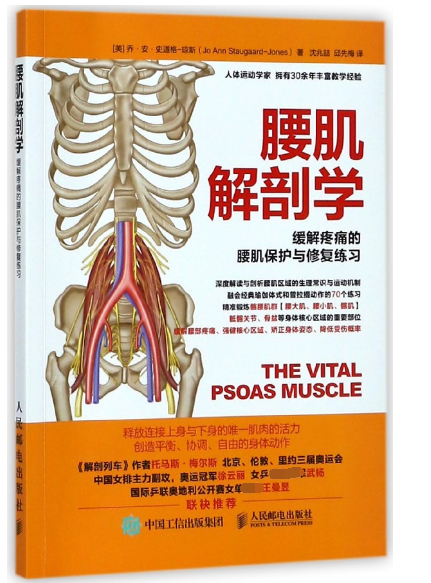 腰肌解剖学(缓解疼痛的腰肌保护与修复练习)