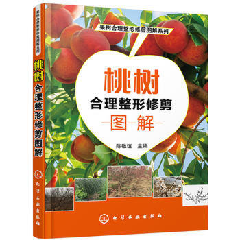 桃树合理整形修剪图解
