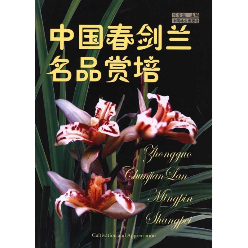 中国春剑兰名品赏培