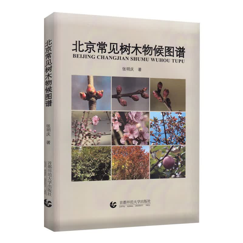 常见树木物候图谱