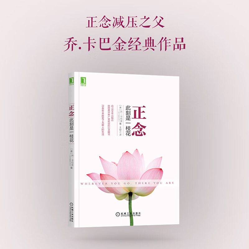 正念 此刻是一枝花 正念减压之父乔·卡巴金代表作 阐明正念冥想的精髓和方法 找回平静、专注、清明、幸福